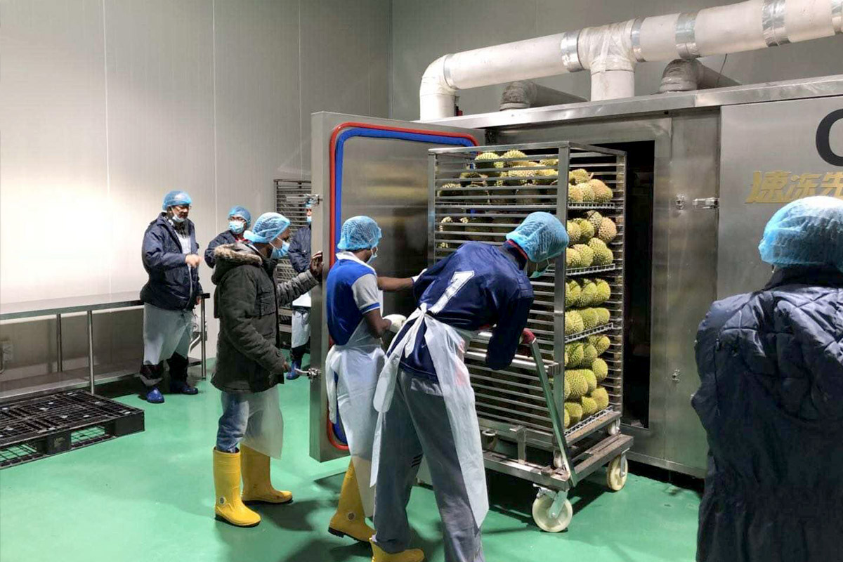 Our Facility – Tenggara Food Industries Sdn. Bhd.
