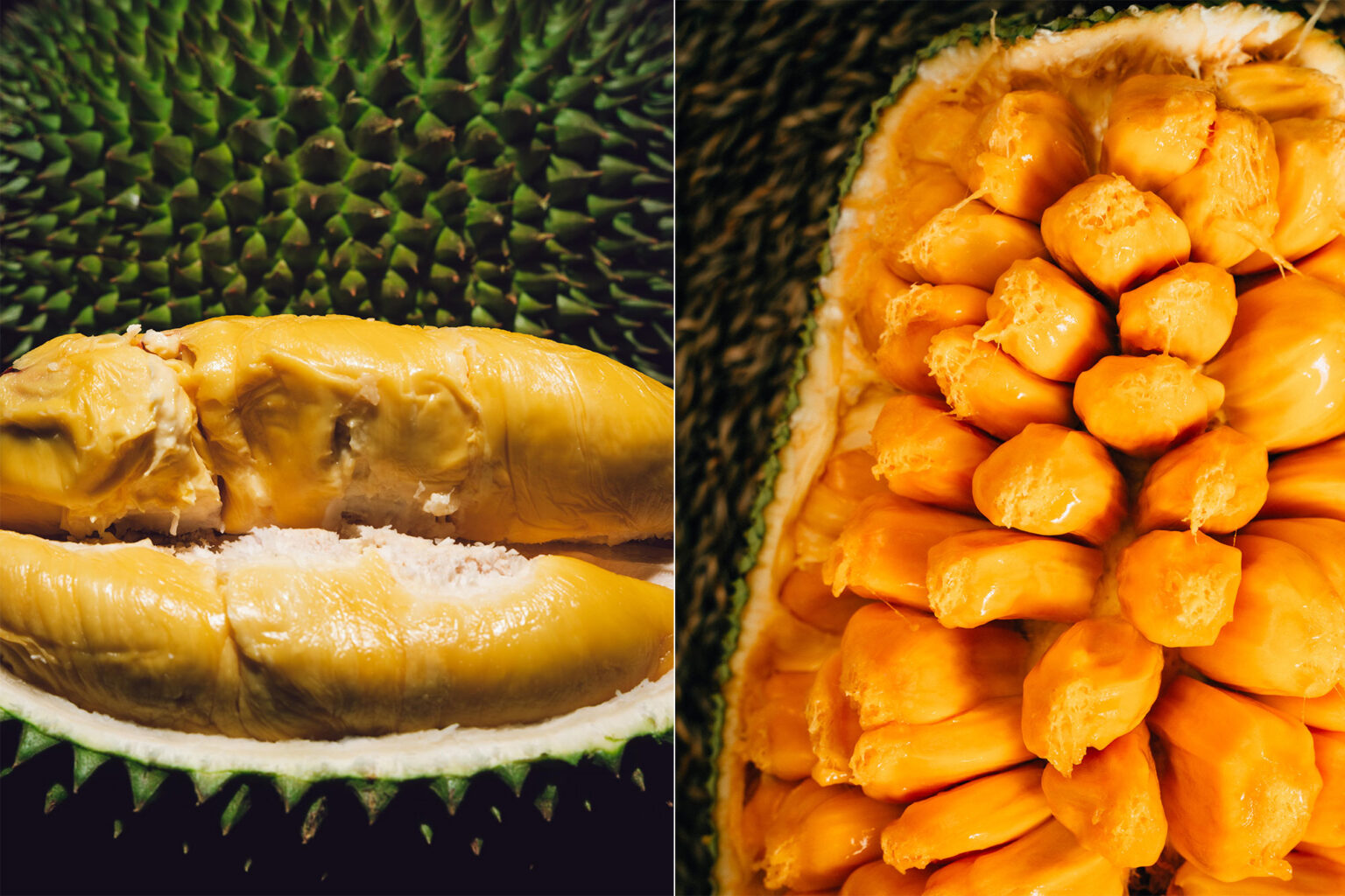 Tenggara Food Industries Sdn. Bhd. – Tropical fruit for Durian ...